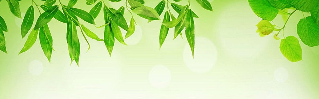 c4droid套件 - Npcink