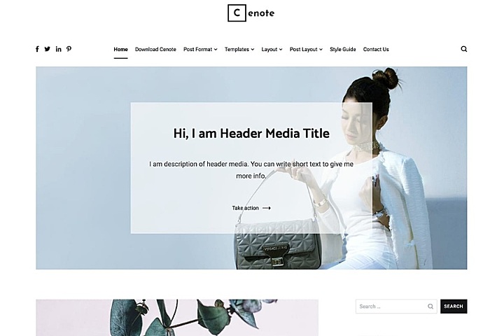 Cenote - 免费WordPress博客主题 - Npcink