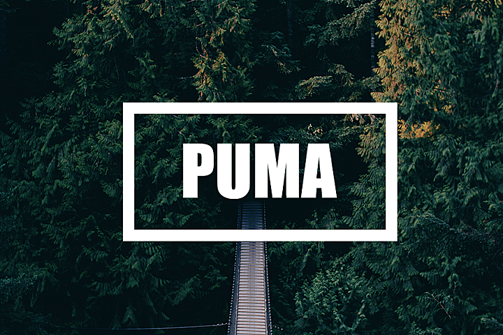 Puma - 简洁的Typecho主题 - Npcink