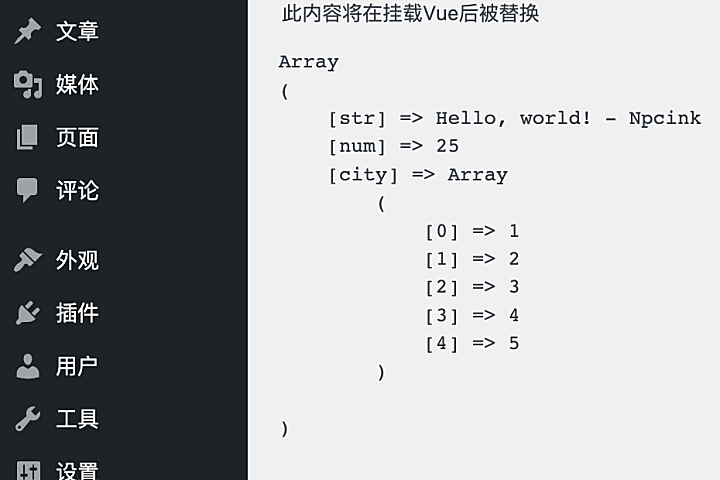 第一节：Vue3 开发WordPress设置选项 - PHP传数据给JS - Npcink